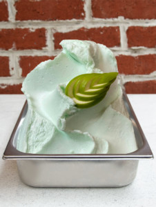 Flavour Favourites - Gelatissimo