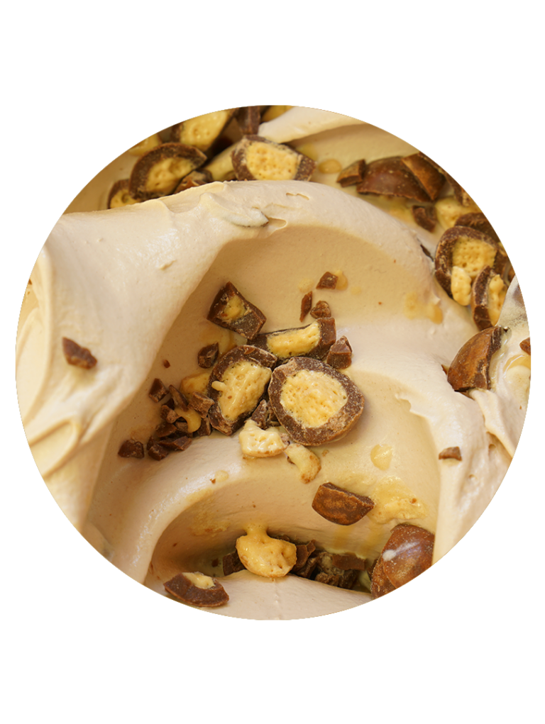 Flavour Favourites - Gelatissimo