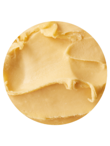 Flavour Favourites - Gelatissimo