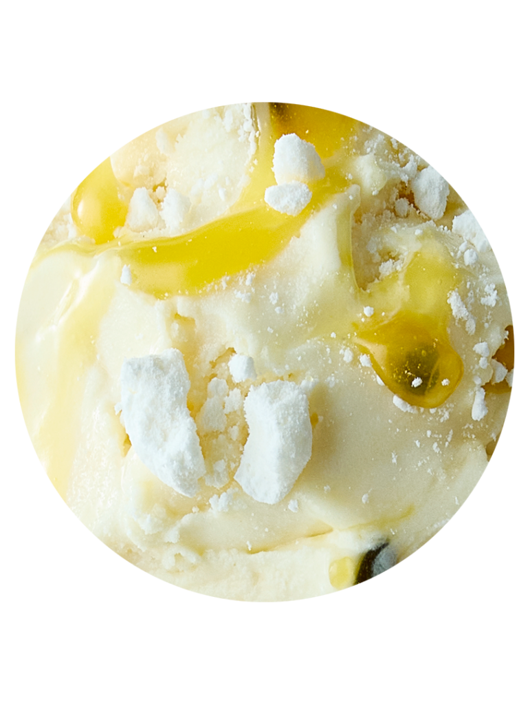 Flavour Favourites - Gelatissimo